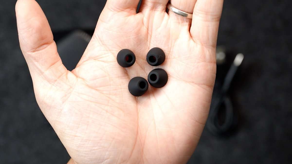 約30万の音を8万で買えるワイヤレスイヤホン!? HIFIMAN Svanar Wireless レビュー | カジェログ